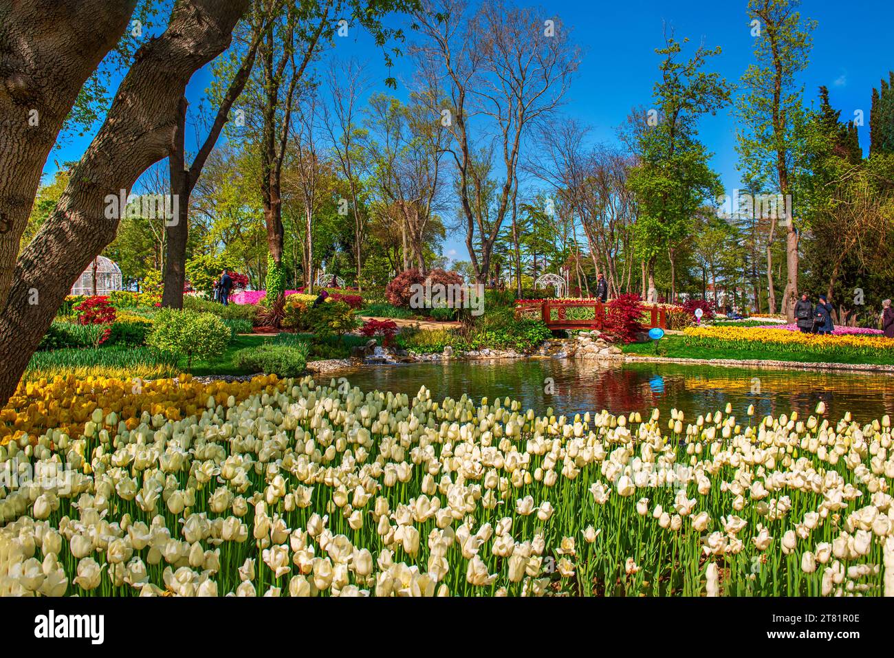 Emirgan Park, Istanbul Stock Photo - Alamy