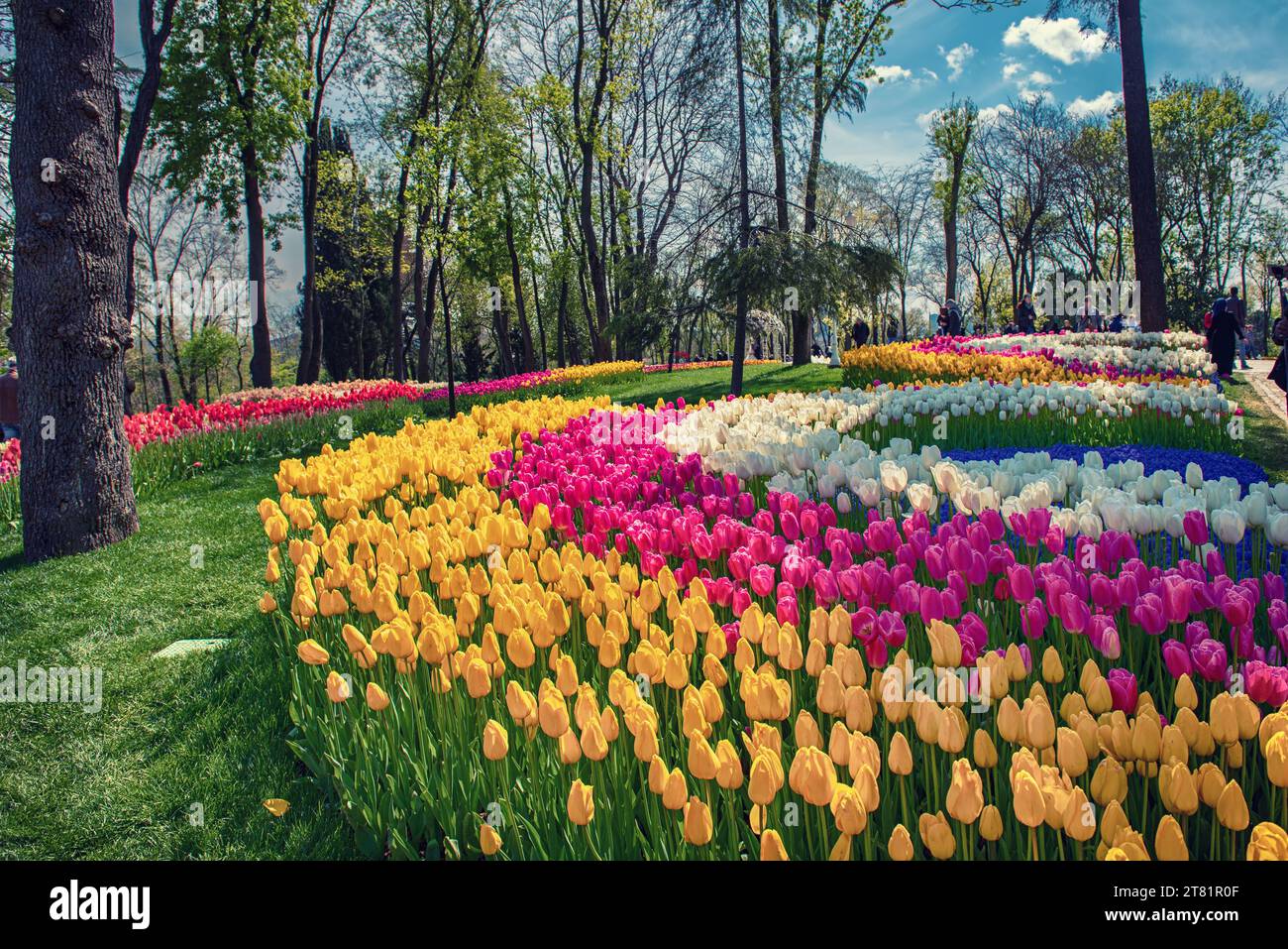 Emirgan Park, Istanbul Stock Photo - Alamy