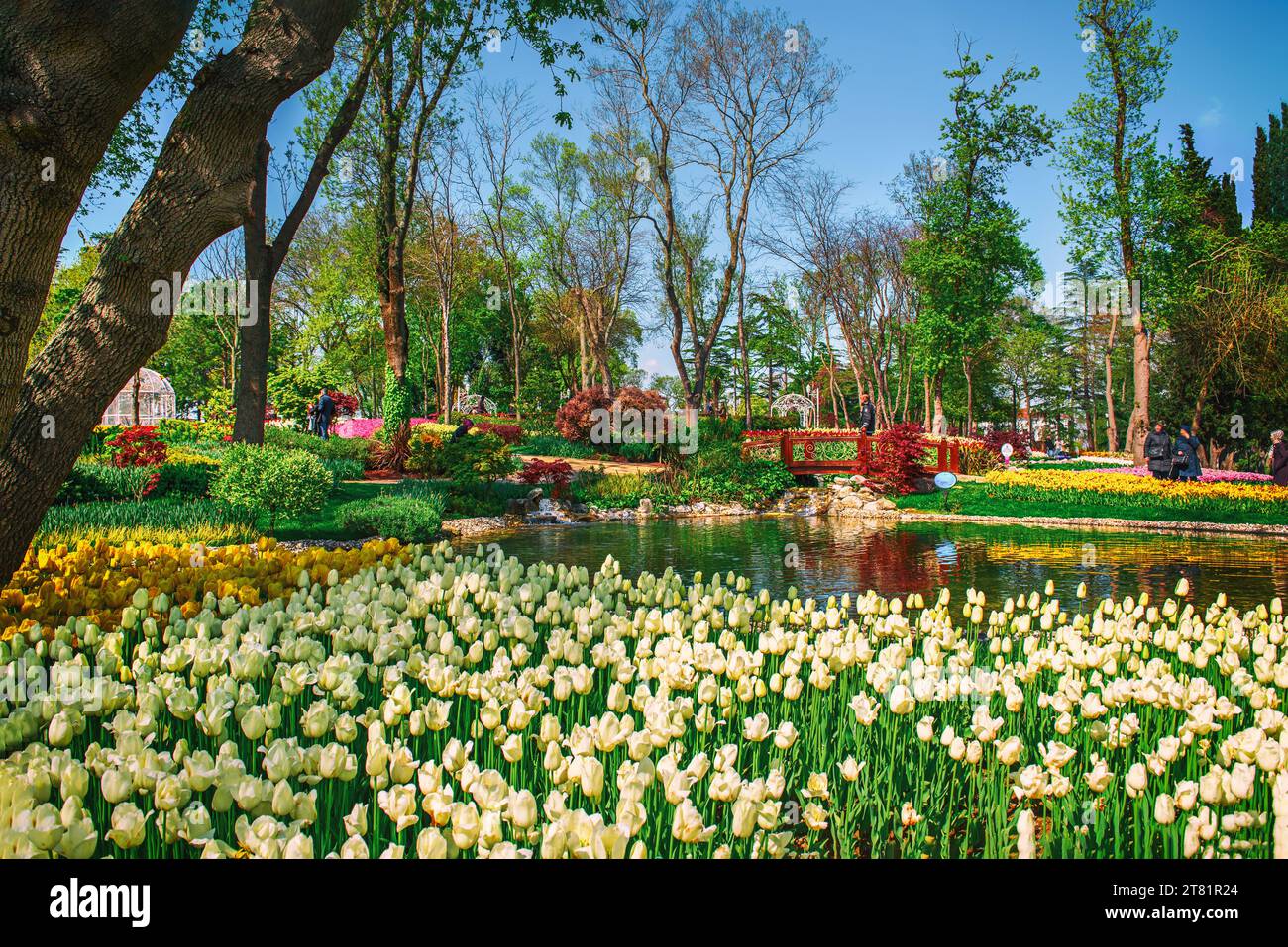 Emirgan Park, Istanbul Stock Photo - Alamy