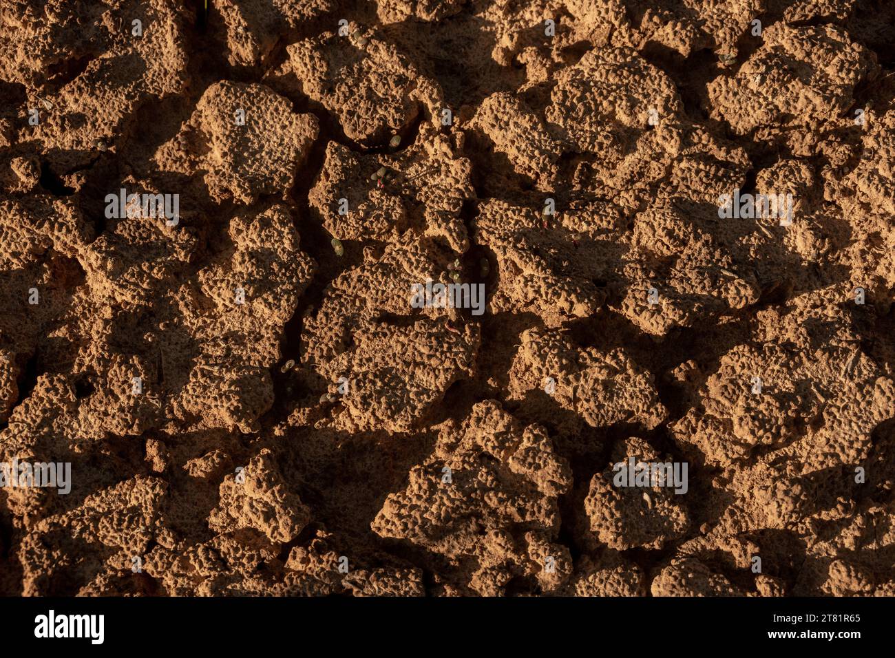 Cracking mud backdrop hi-res stock photography and images - Alamy
