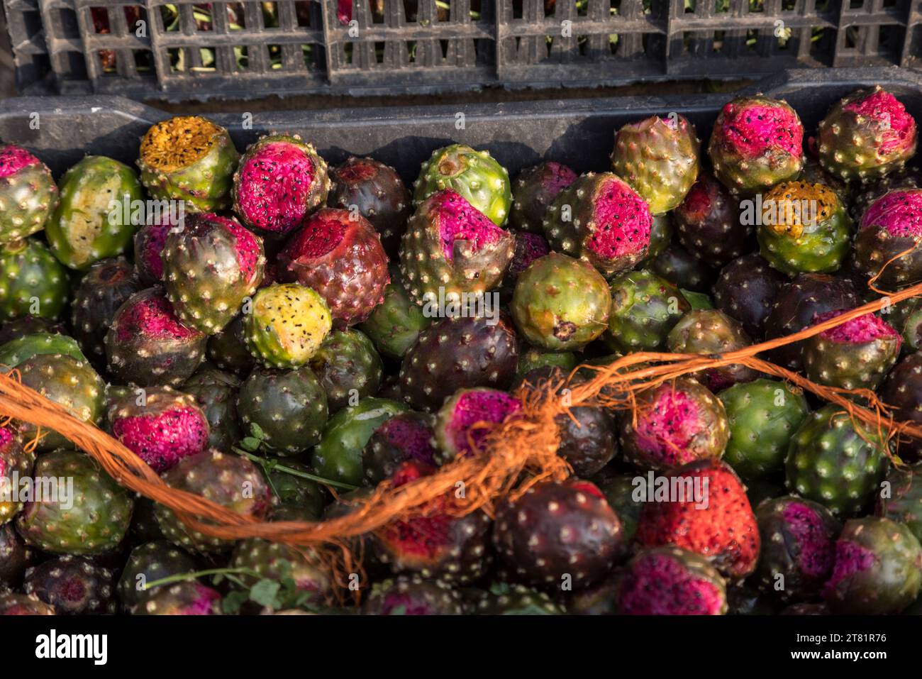 Pitaya a Mexican fruit Stock Photo - Alamy
