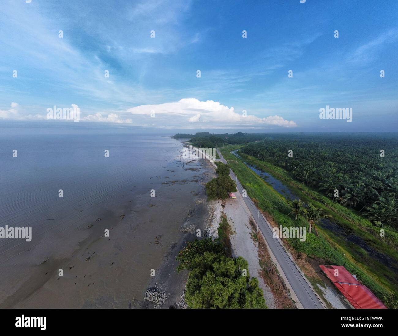 swampy mud beach environment at the low-tide beach Stock Photo - Alamy