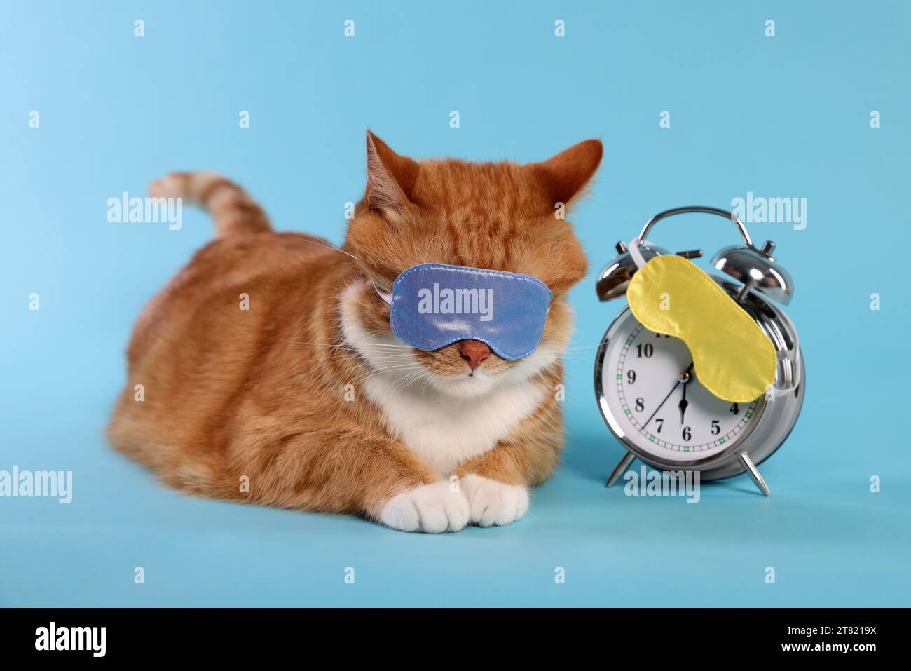 Cute ginger cat with sleep masks and alarm clock on light blue ...
