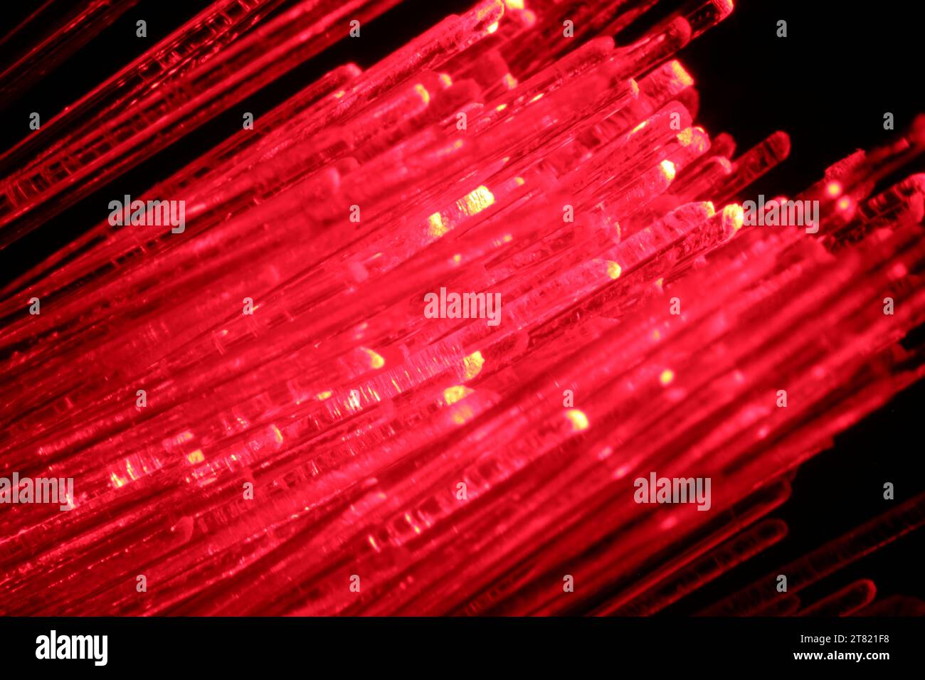Optical fiber strands transmitting red light in darkness, macro view ...