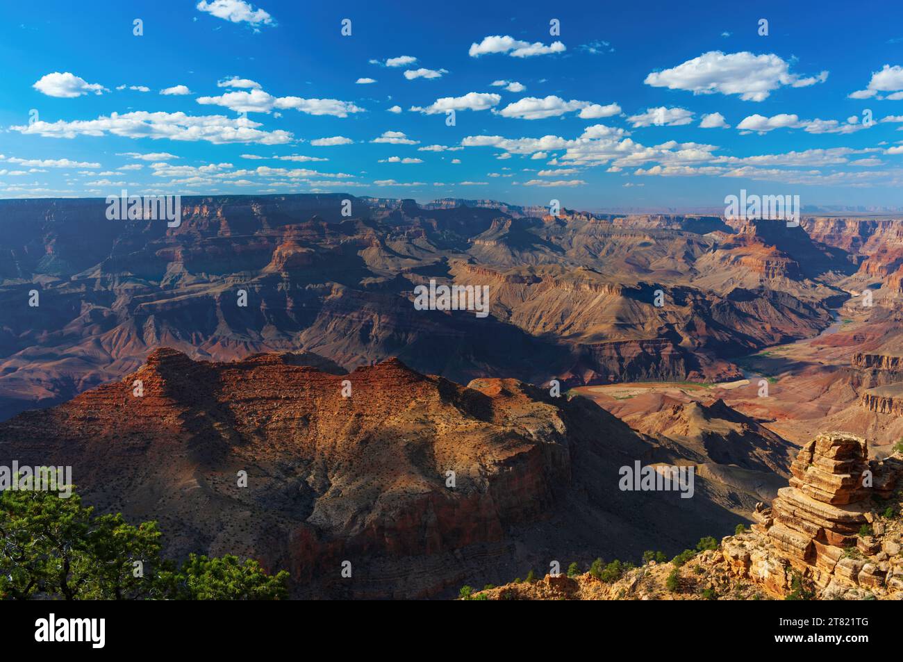 Grand Canyon South Rim, vibrant colors, majestic, eroded geological ...