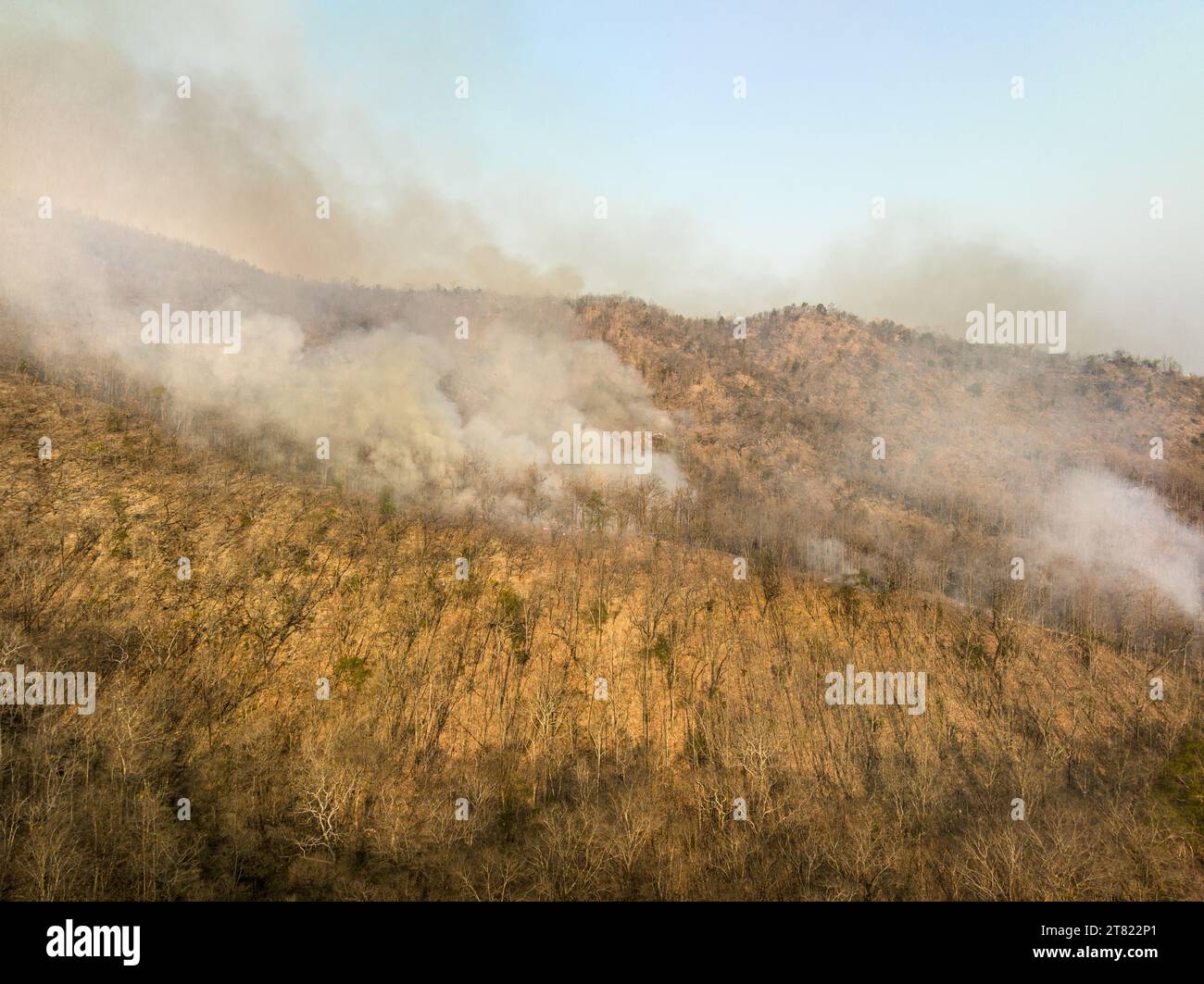 Climate Change , Wildfire disaster in tropical forest caused by human ...