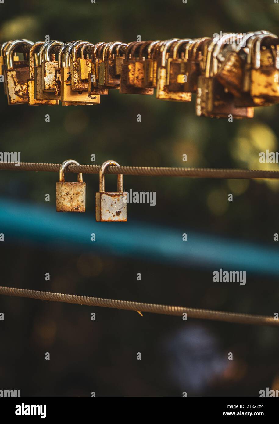 love locks, in a park, public zoo, along the river in Orizaba, Mexico ...
