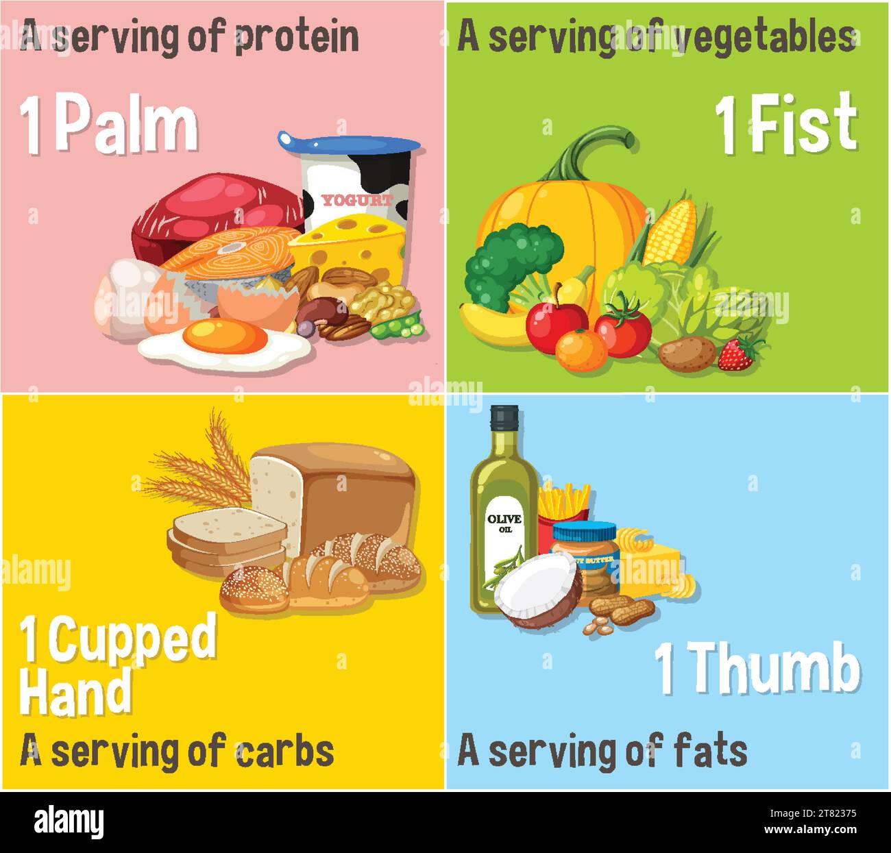 Set of Food Macronutrients: Protein, Fiber, Carbohydrates, and Fat ...