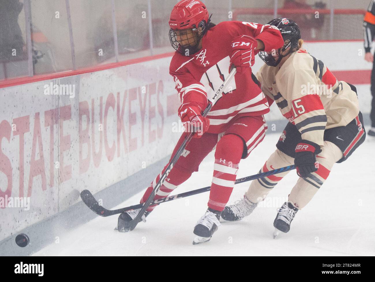 Columbus, Ohio, USA. 17th Nov, 2023. Wisconsin Badgers defenseman ...