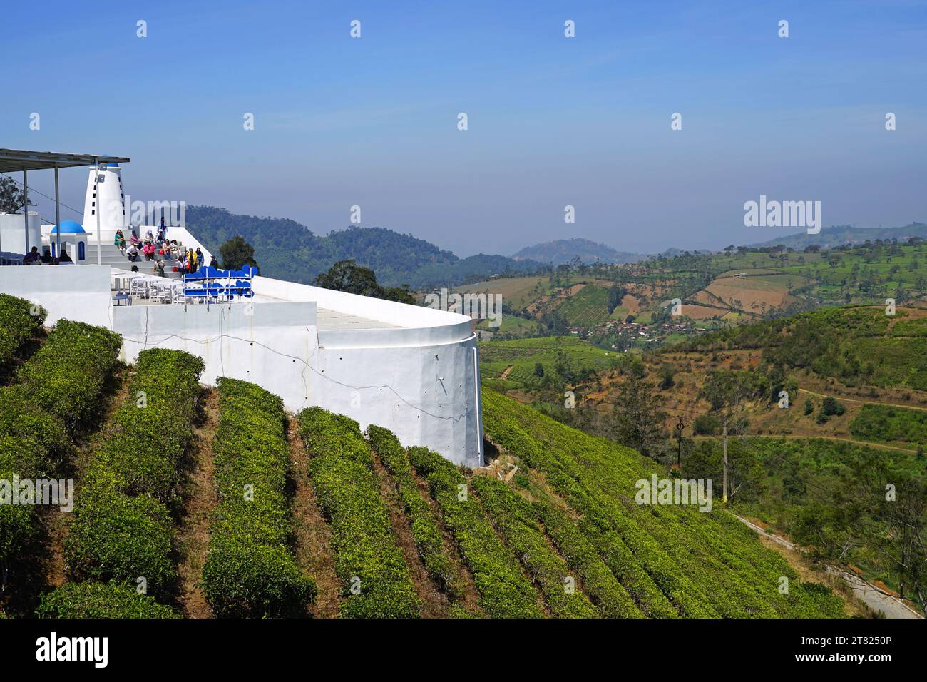 Nimo Highland Park at Tea Plantation Pengalengan Bandung, West Java ...