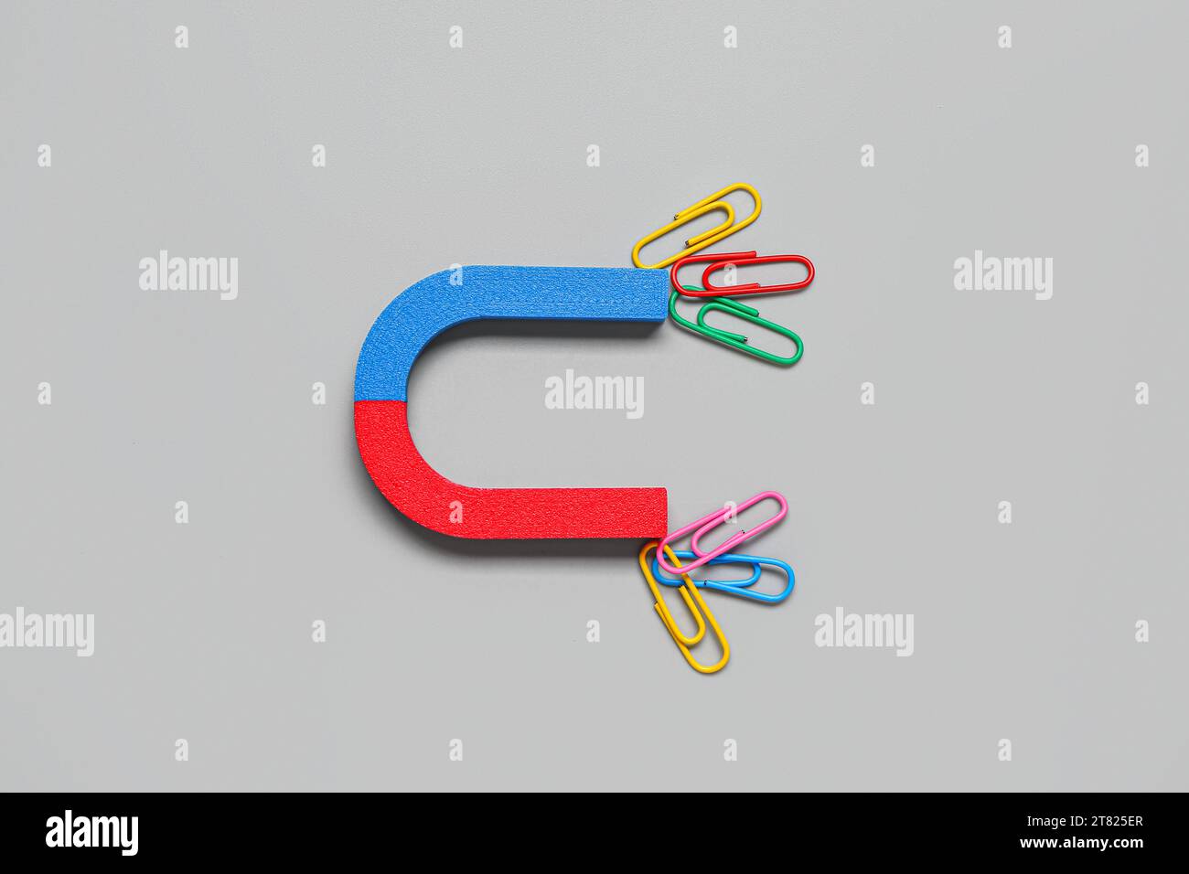 Magnet attracting paper clips on grey background Stock Photo - Alamy
