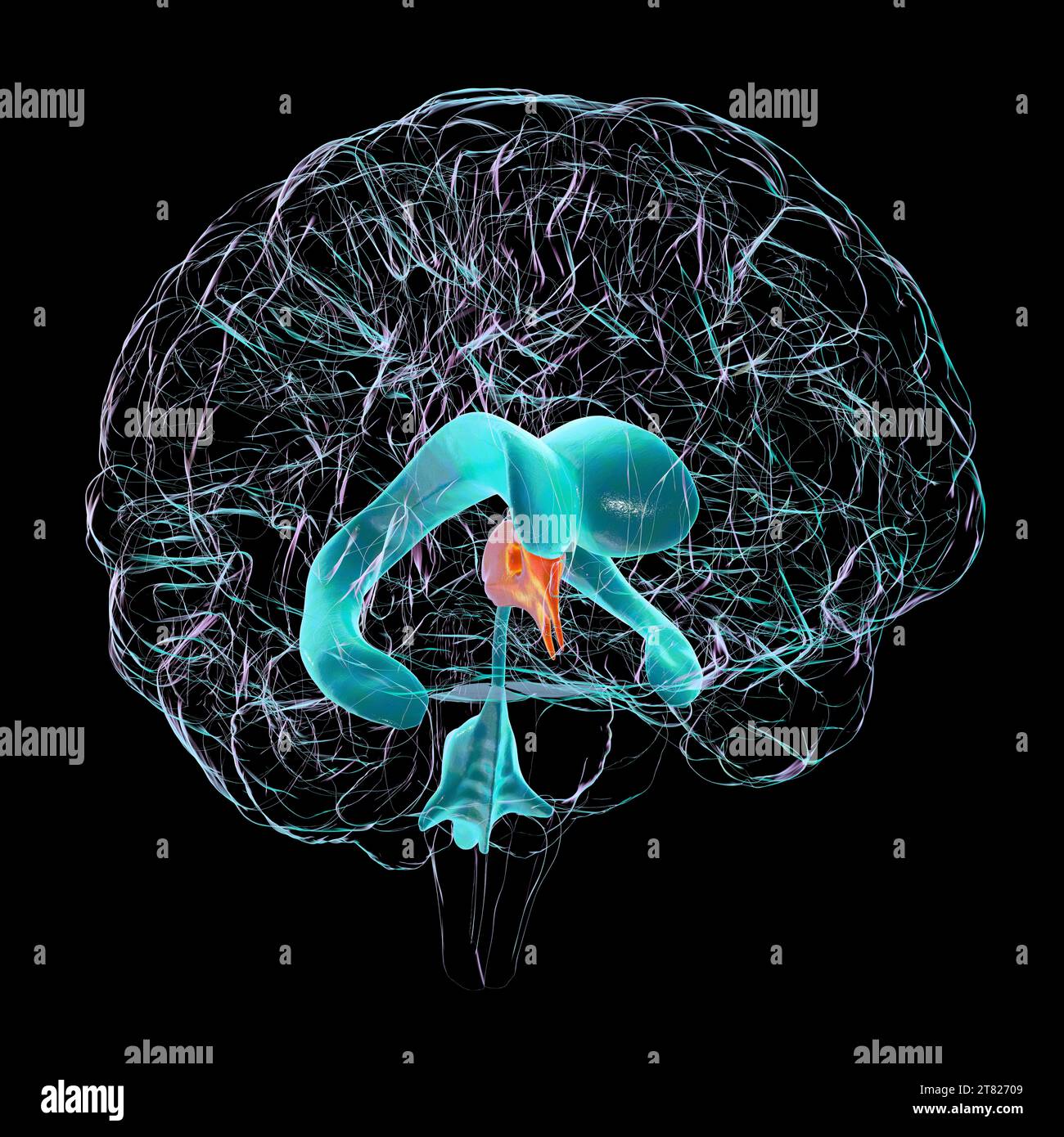 Neurological brain hi-res stock photography and images - Alamy