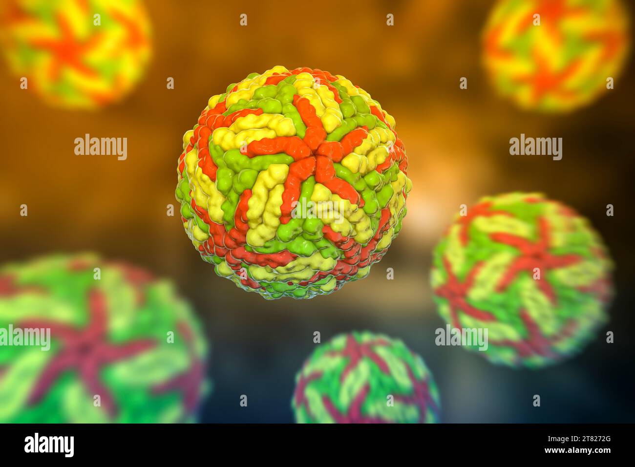 Chikungunya rash hi-res stock photography and images - Alamy