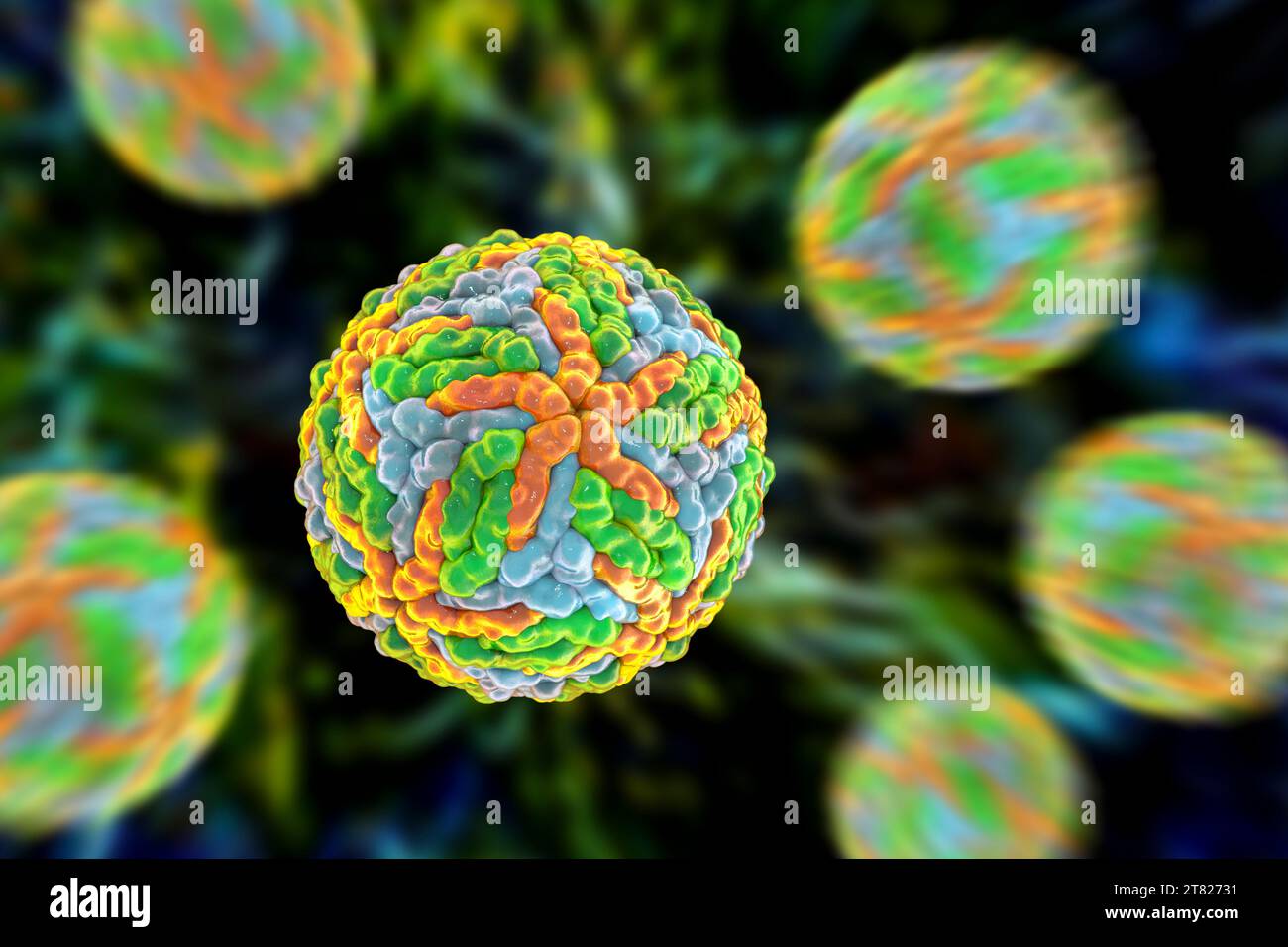 Dengue haemorrhagic fever hi-res stock photography and images - Alamy