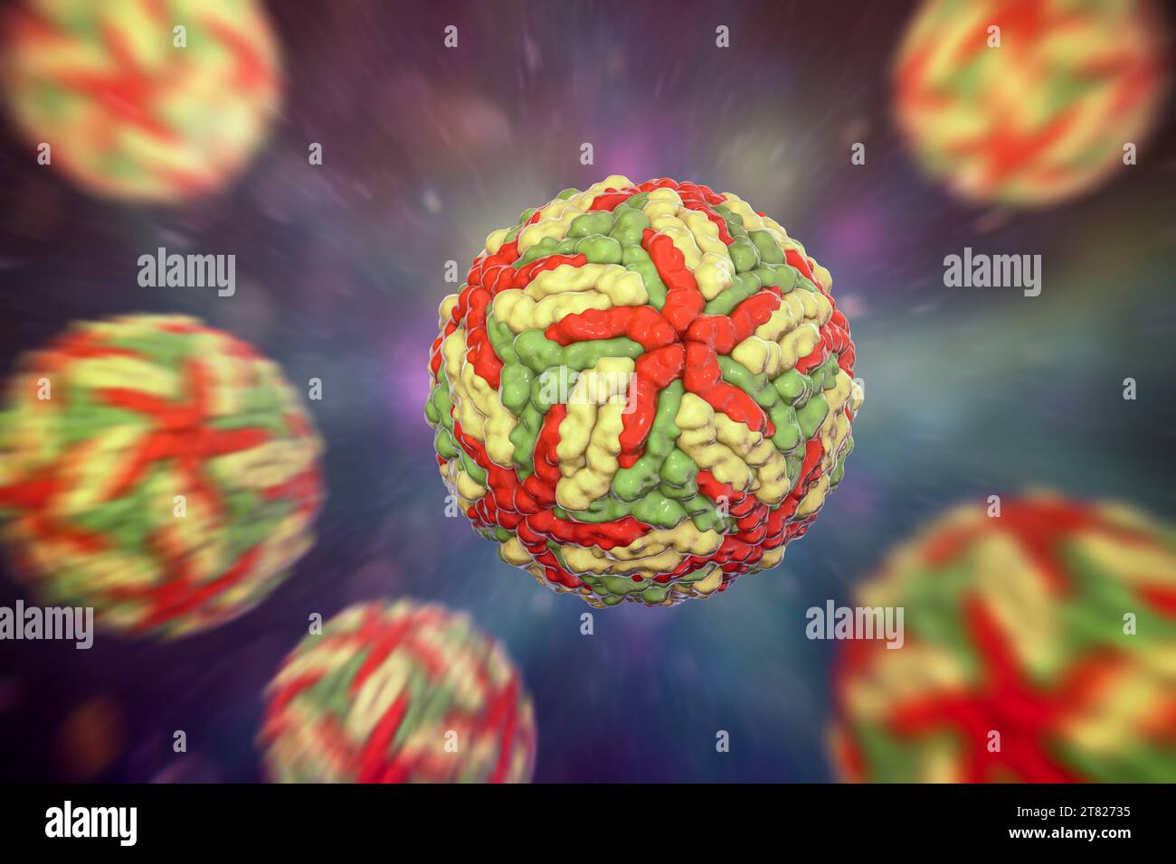 Dengue haemorrhagic fever hi-res stock photography and images - Alamy