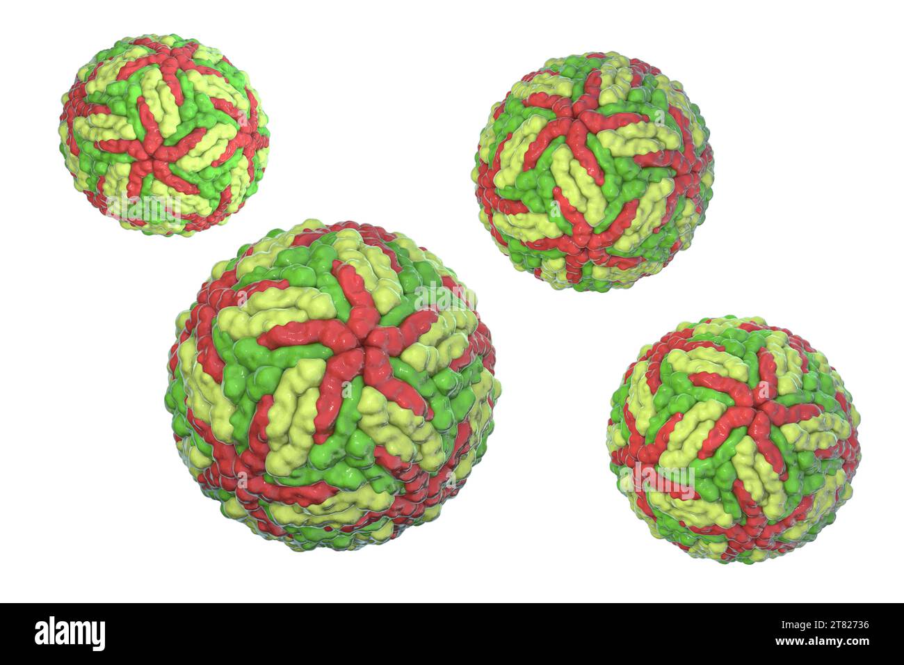 Dengue viruses, illustration Stock Photo - Alamy