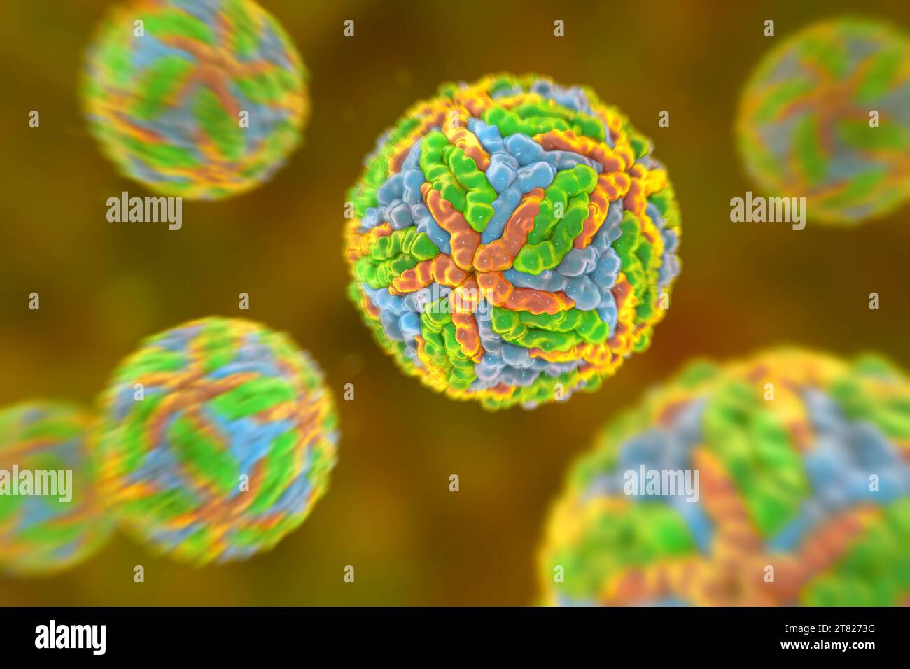 Dengue viruses, illustration Stock Photo - Alamy