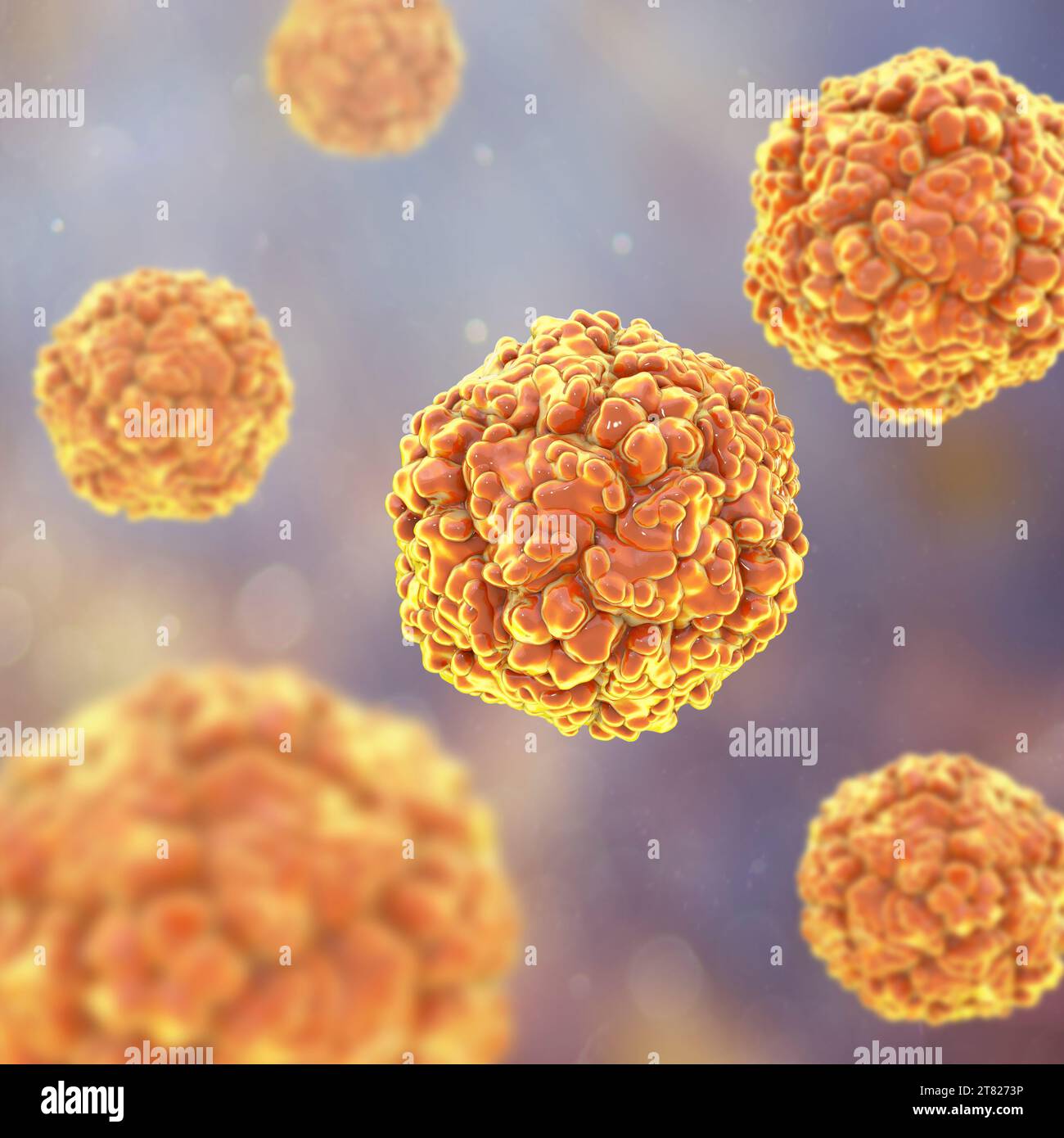Astroviruses hi-res stock photography and images - Alamy