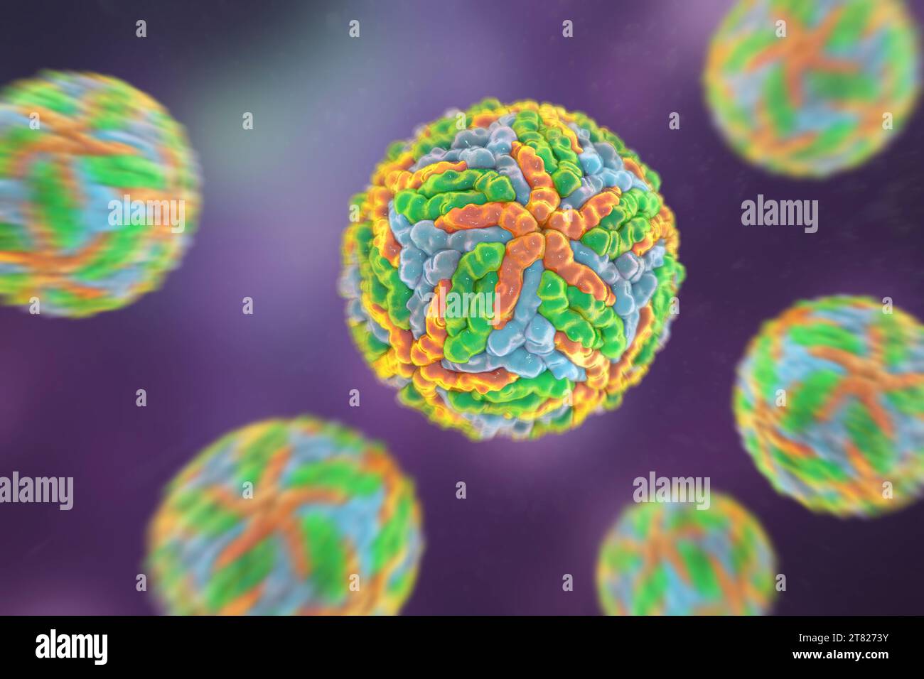 Dengue viruses, illustration Stock Photo - Alamy