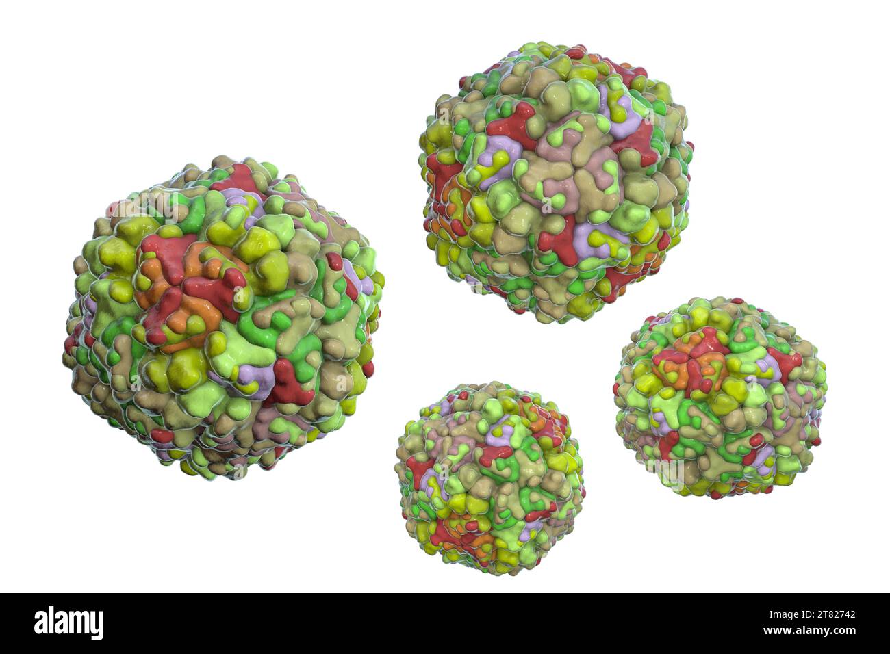 Virus replication Cut Out Stock Images & Pictures - Alamy