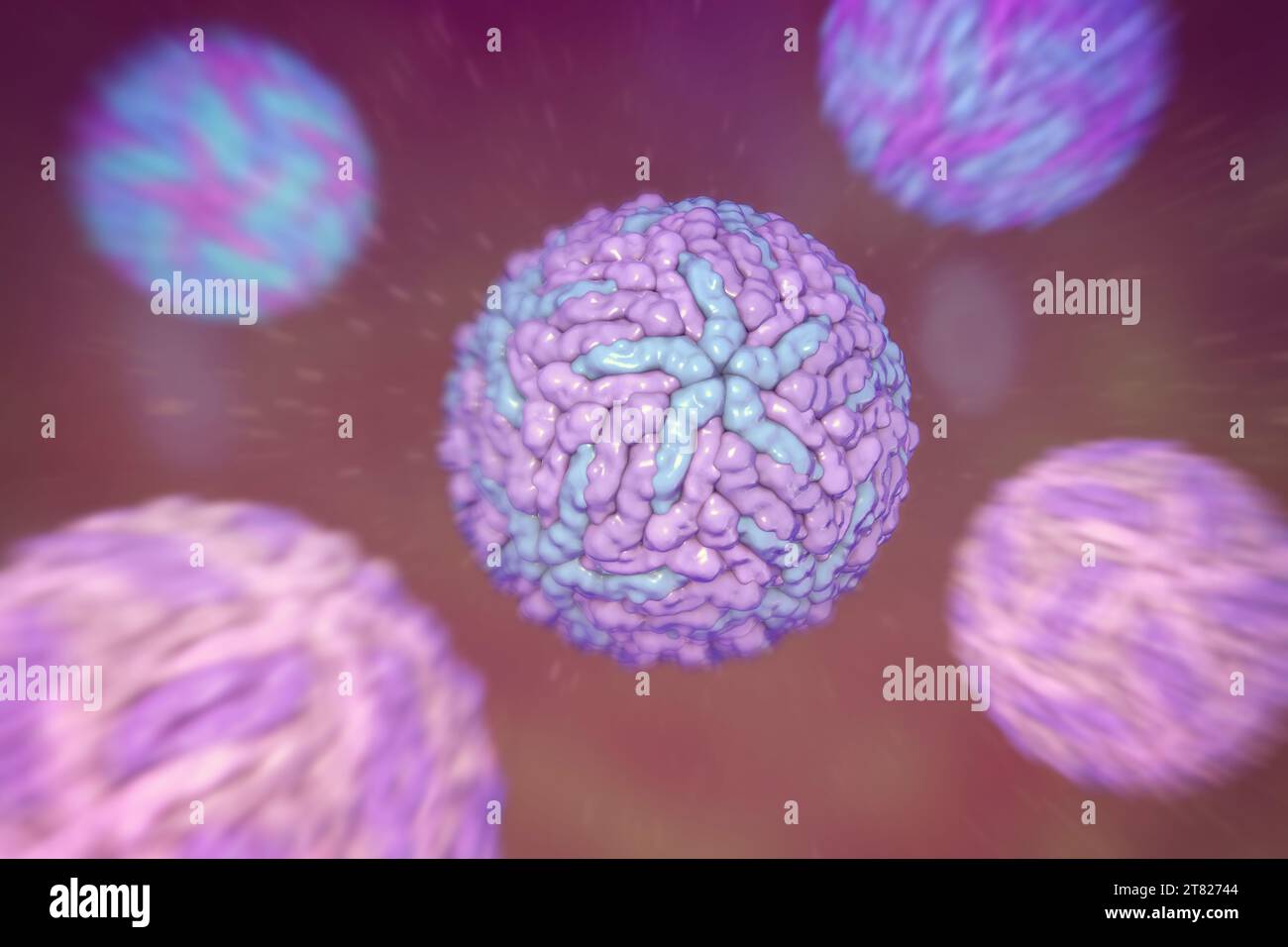 Dengue haemorrhagic fever hi-res stock photography and images - Alamy