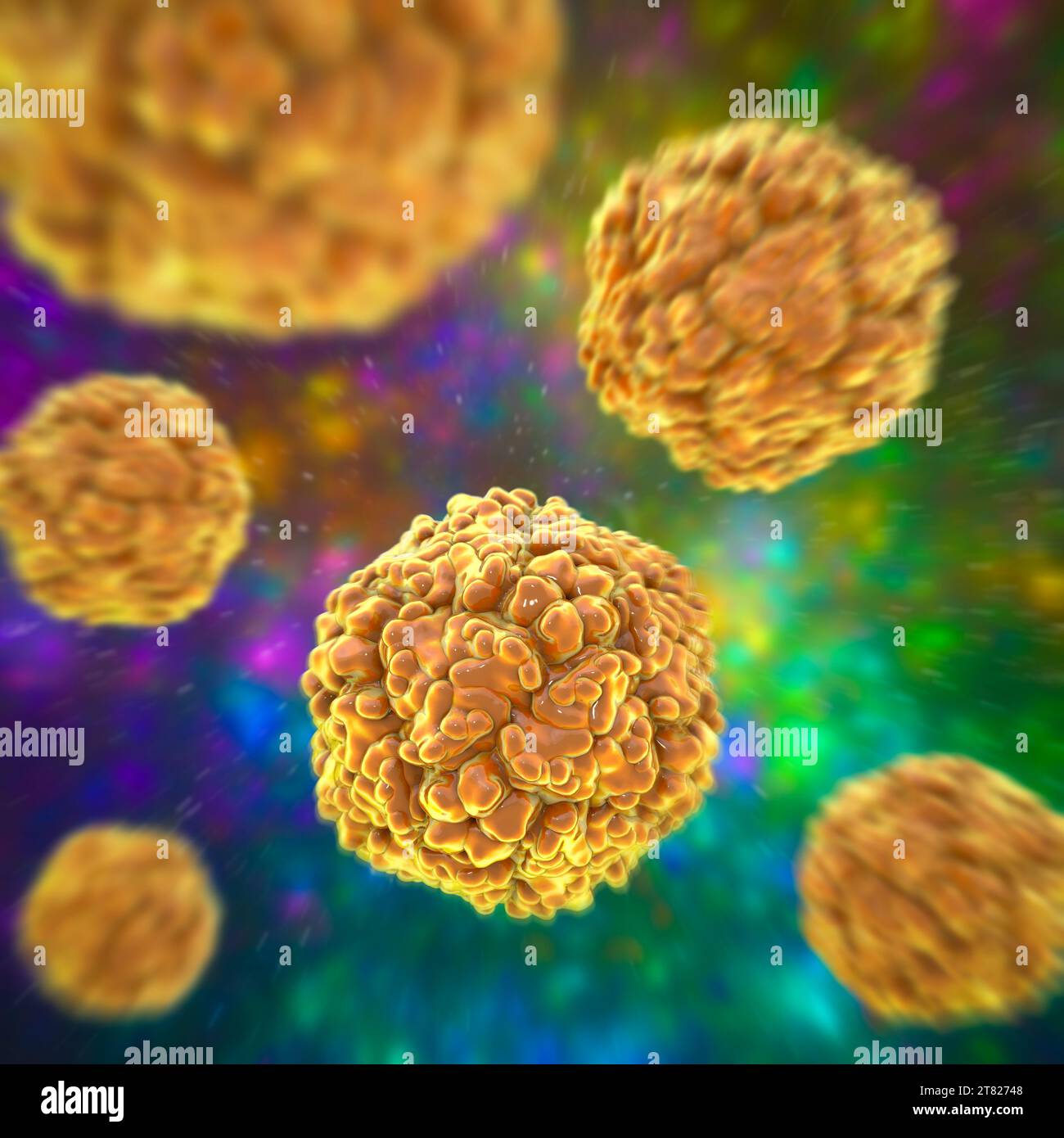 Echo viruses, illustration Stock Photo - Alamy