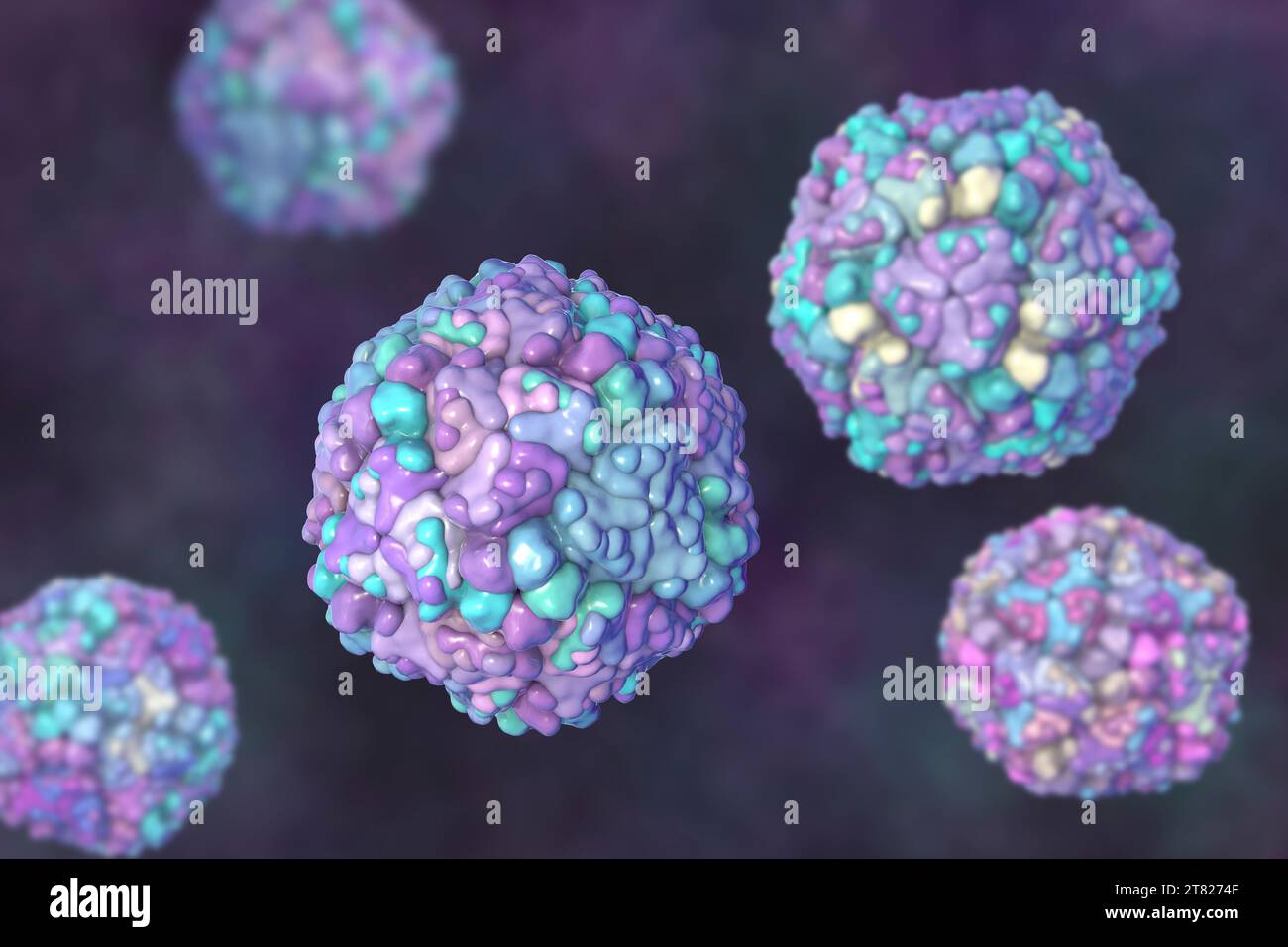 Astroviruses hi-res stock photography and images - Alamy