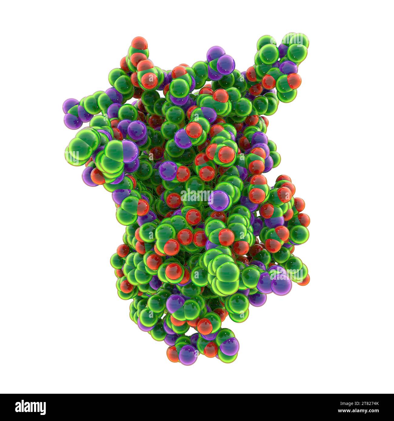 Human growth hormone molecule, illustration Stock Photo - Alamy