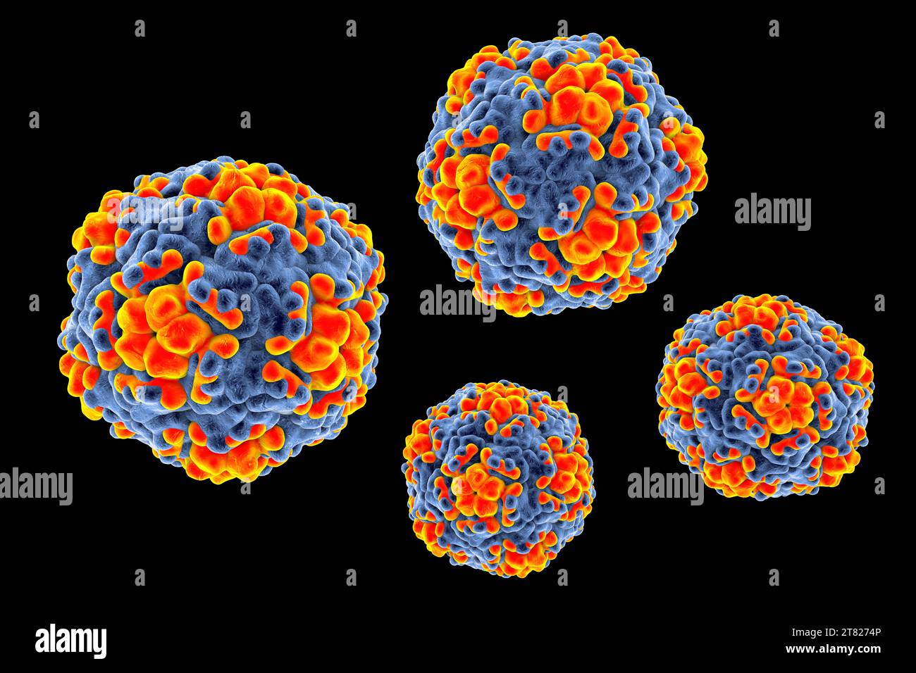 Echo viruses, illustration Stock Photo - Alamy