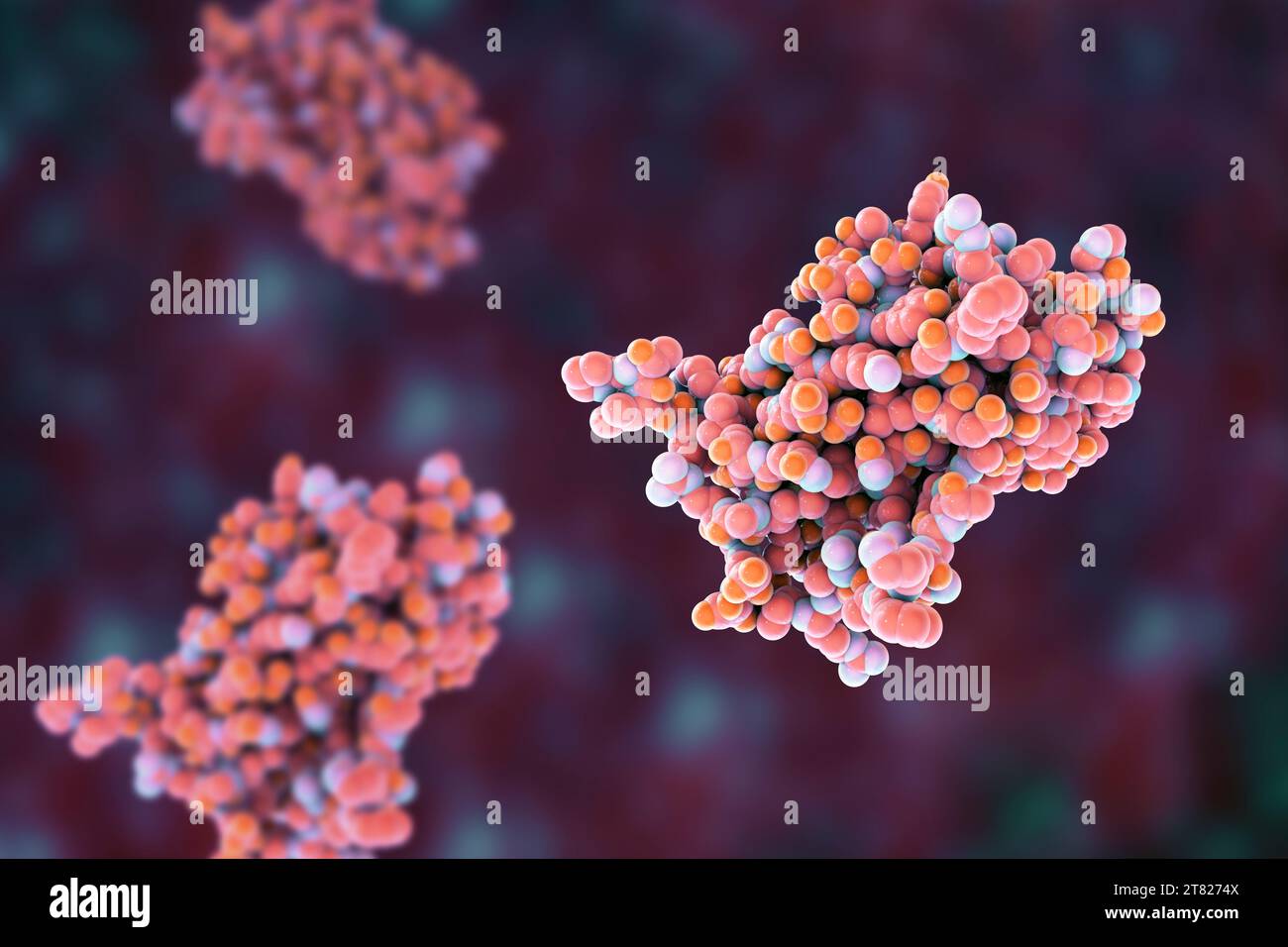Human growth hormone molecule, illustration Stock Photo - Alamy