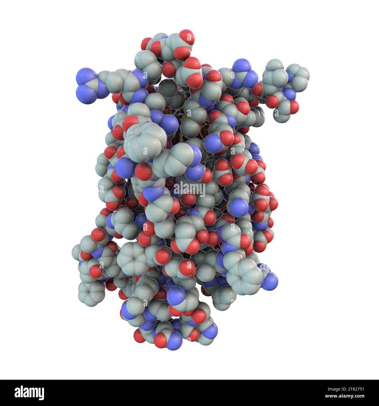 Human growth hormone molecule, illustration Stock Photo - Alamy