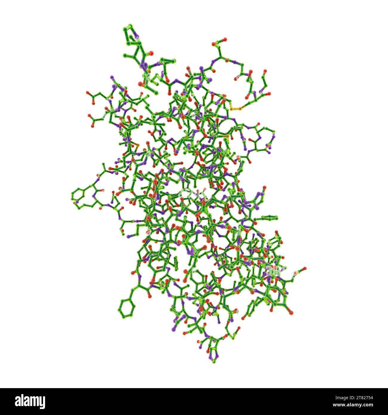 Human growth hormone molecule, illustration Stock Photo - Alamy