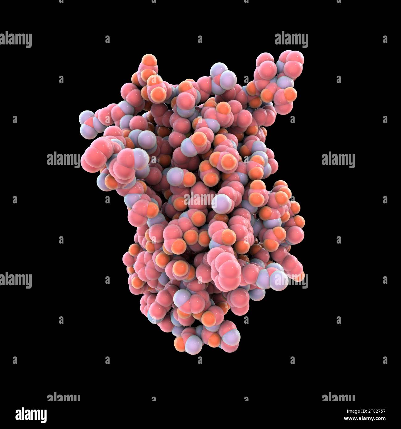 Human growth hormone molecule, illustration Stock Photo - Alamy