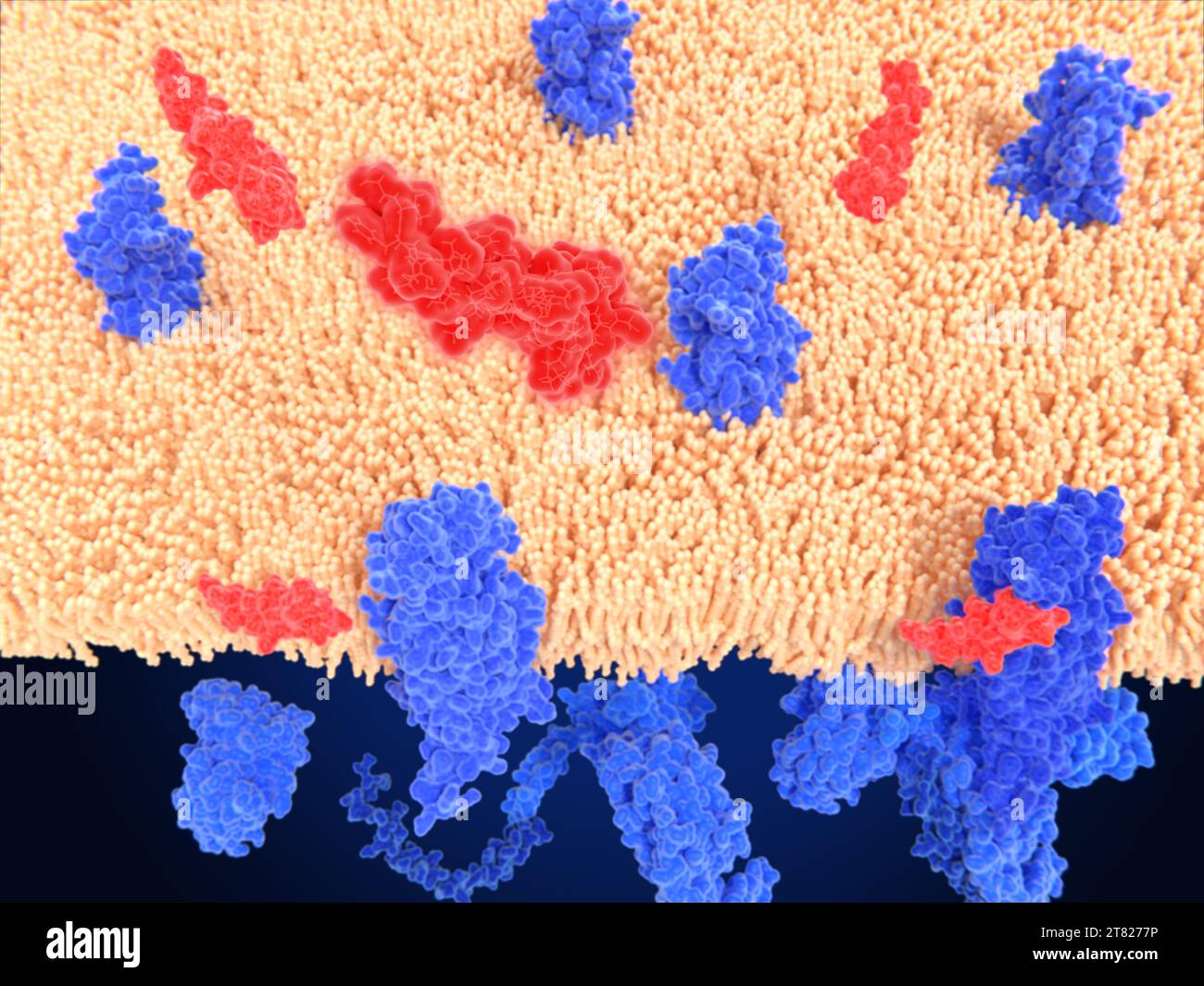 Analogue glp 1 hi-res stock photography and images - Alamy