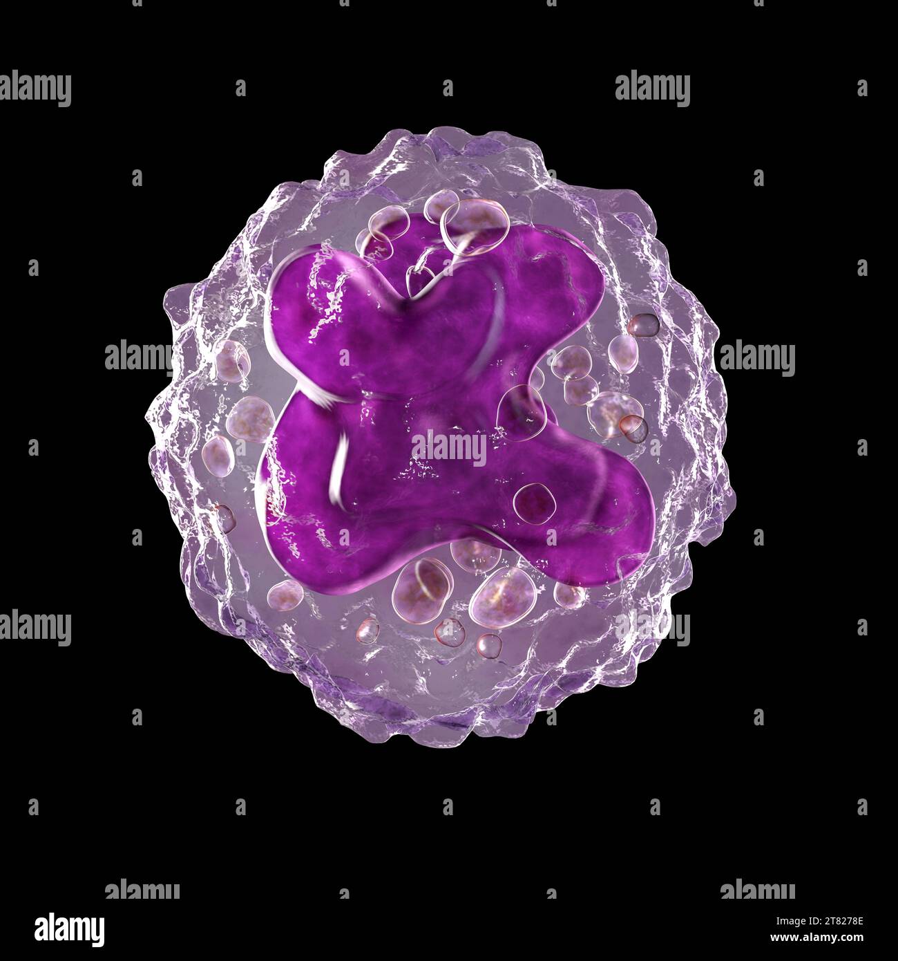 Monocyte cell hi-res stock photography and images - Alamy