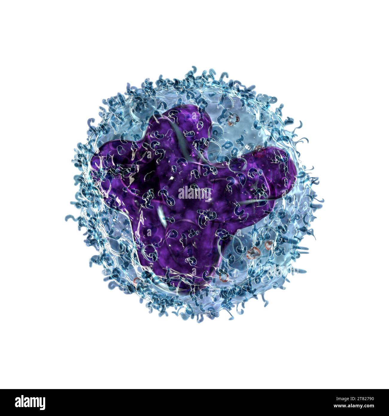 Monocyte immune defense cell 3d hi-res stock photography and images - Alamy