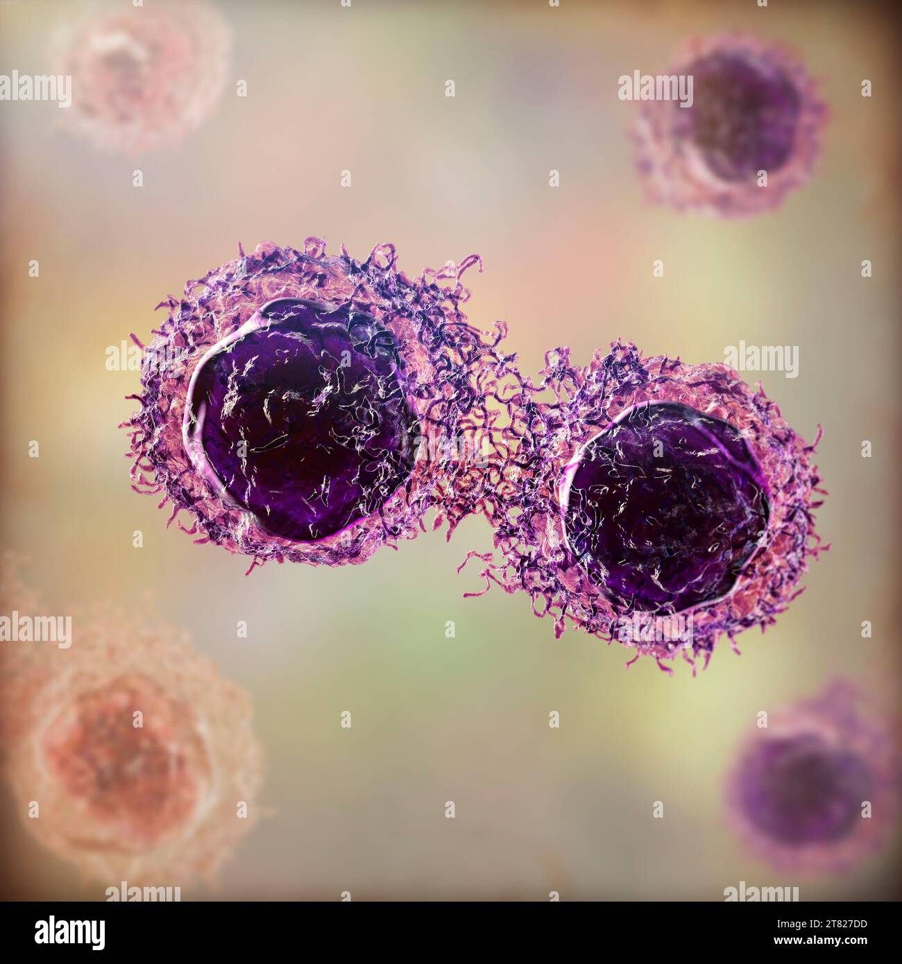 Cancer cells, illustration Stock Photo - Alamy