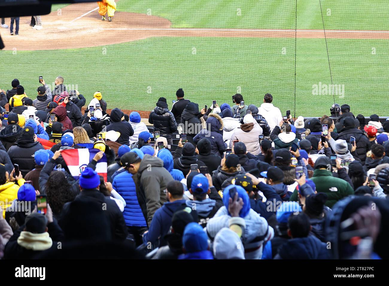 Aguilas cibaenas hi-res stock photography and images - Alamy