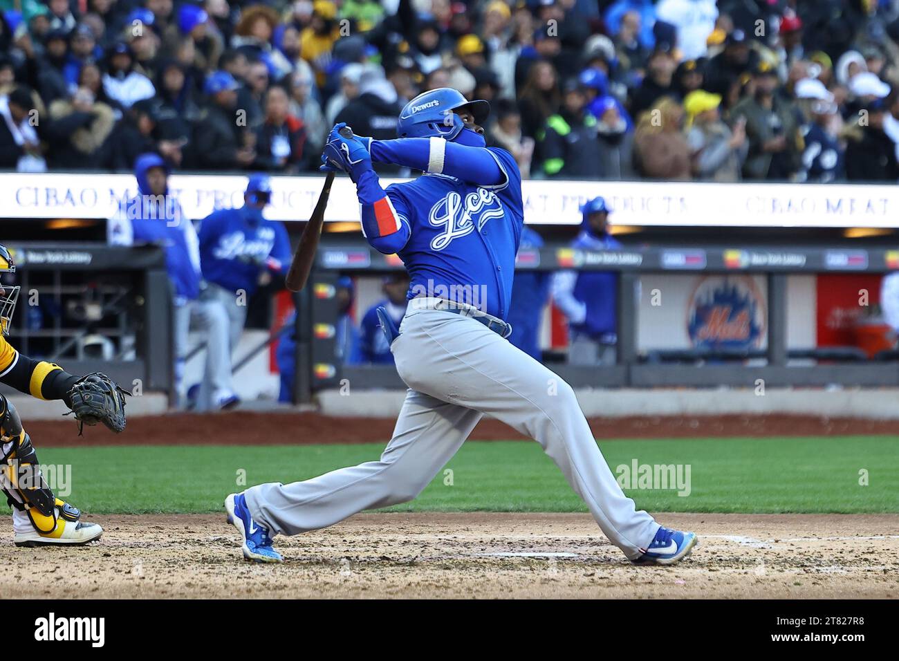 Logo de citi hi-res stock photography and images - Alamy