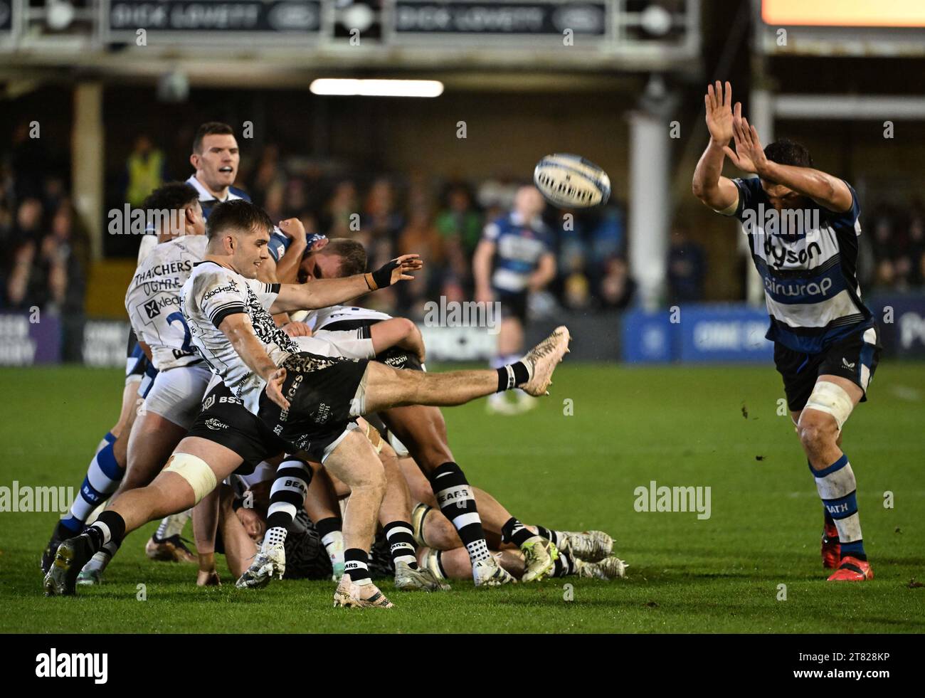 Charlie bears hi-res stock photography and images - Alamy