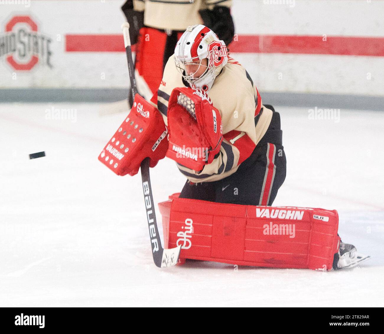 November 17, 2023: Ohio State Buckeyes goaltender Raygan Kirk (1) makes ...