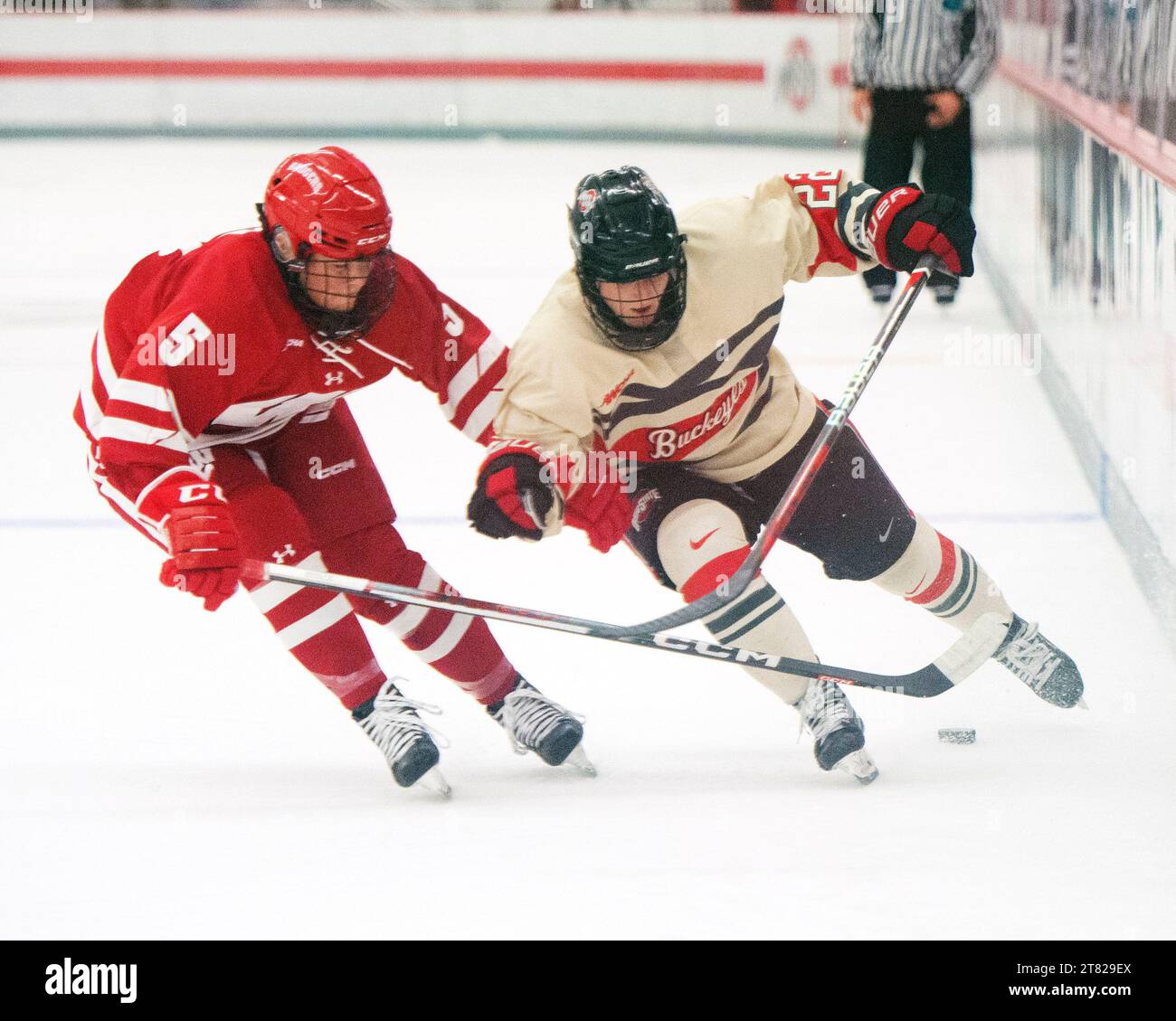 Columbus, Ohio, USA. 17th Nov, 2023. Ohio State Buckeyes forward Sloane ...