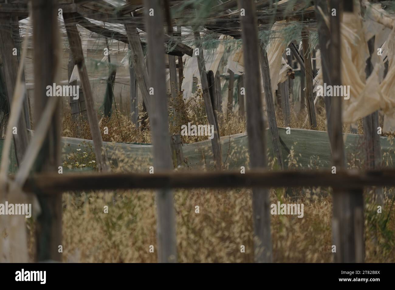 Greenhouses, Lost Place, Crete, Greece Stock Photo - Alamy