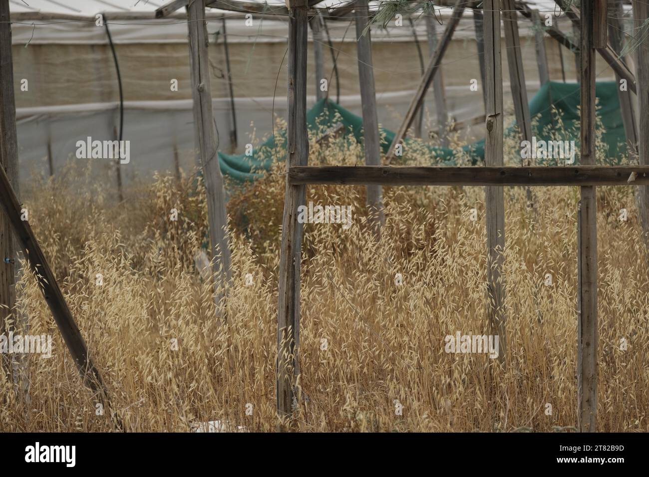 Greenhouses, Lost Place, Crete, Greece Stock Photo - Alamy