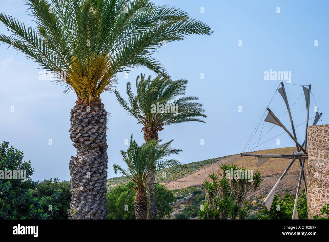 Windmill, palm trees, blue sky, holiday, travel, tourist, attraction ...