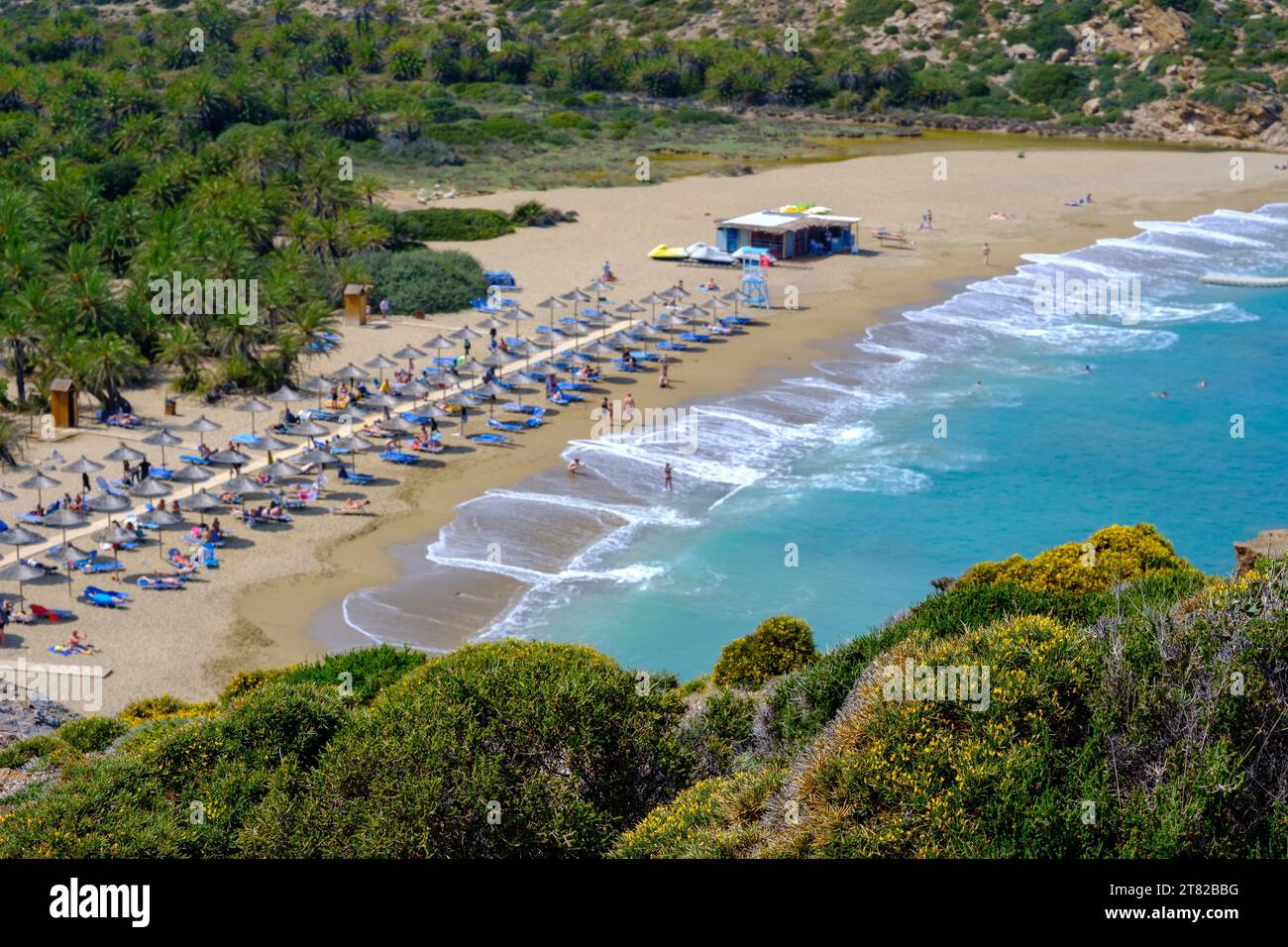 Palm trees, beach, sea, holiday, travel, sunbathing, waves, tourists ...