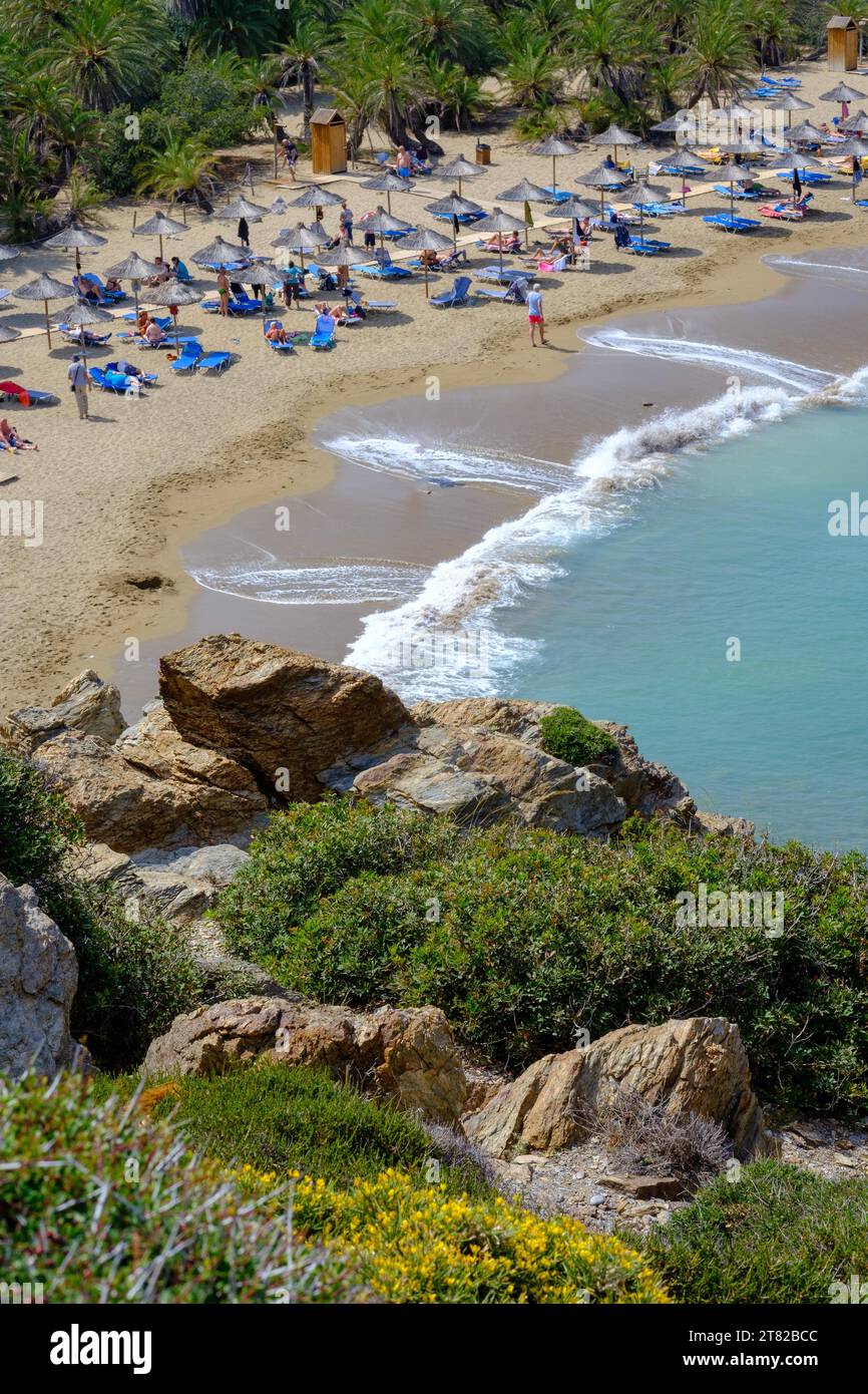 Palm trees, beach, sea, holiday, travel, sunbathing, waves, tourists ...