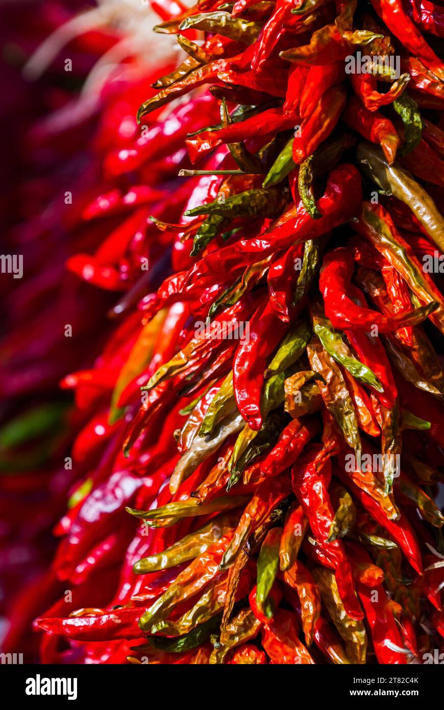 Chilli peppers at a market stall, Hot, Spice, Food, Paprika, New Mexico ...