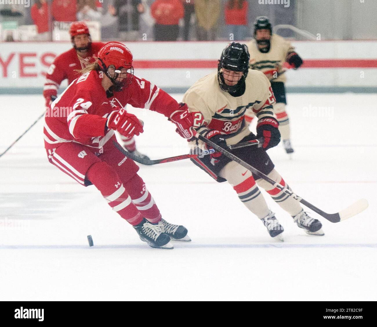 Columbus, USA. 17th Nov, 2023. November 17, 2023: Ohio State Buckeyes ...