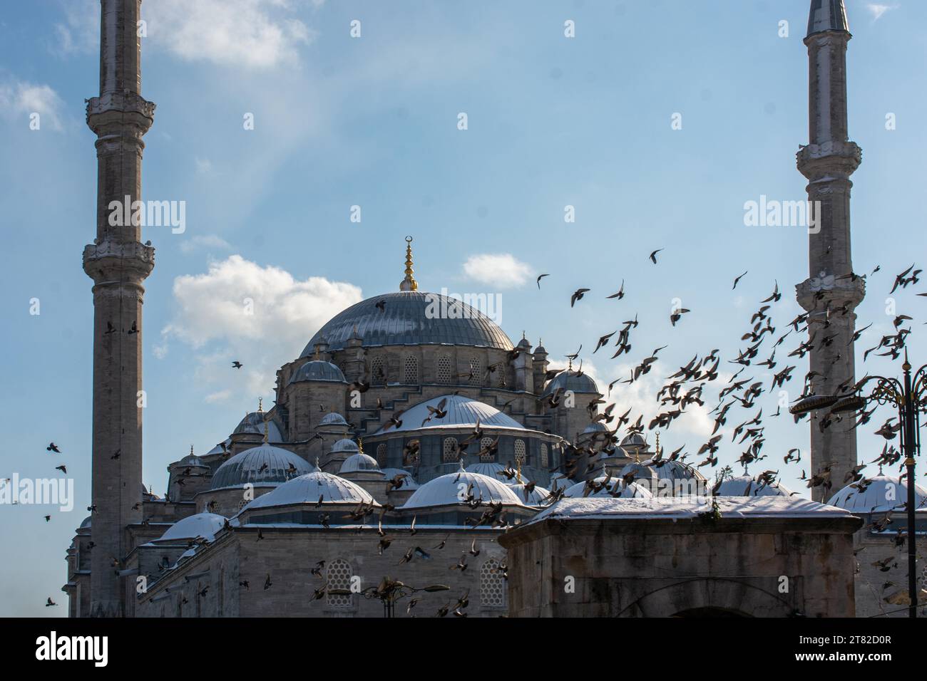 Pigeon flying around the mosque minarets Stock Photo - Alamy